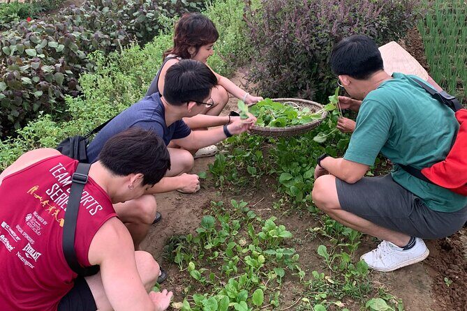Hoi An Cooking Class at Tra Que Vegetable Village - The Itinerary: From Field to Fork