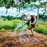 Hoi An countryside cycling tour - What’s Included and What’s Not