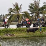HOI AN Countryside Hidden Gems in Villages & Islands PRIVATE TOUR - Discovering the Real Hoi An: A Deep Dive