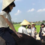 Hoi An Countryside Tour Pick up From Da Nang - Who Will Love This Tour?