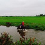 Hoi An Countryside Tour with Bamboo Basket Boat Rowing , Buffalo Ride, Farming - A Day Well Spent for Curious Travelers