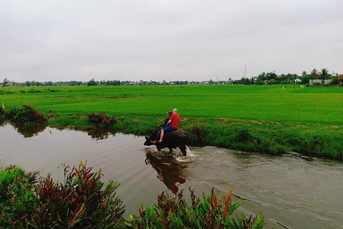 Hoi An Countryside Tour with Bamboo Basket Boat Rowing , Buffalo Ride, Farming - A Day Well Spent for Curious Travelers