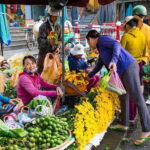 Hoi An: Half-day Market To Kitchen Journey - Practical Tips for Travelers