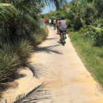 Hoi An: Half-Day My Son Sanctuary Bike Tour - A Detailed Look at the Tour