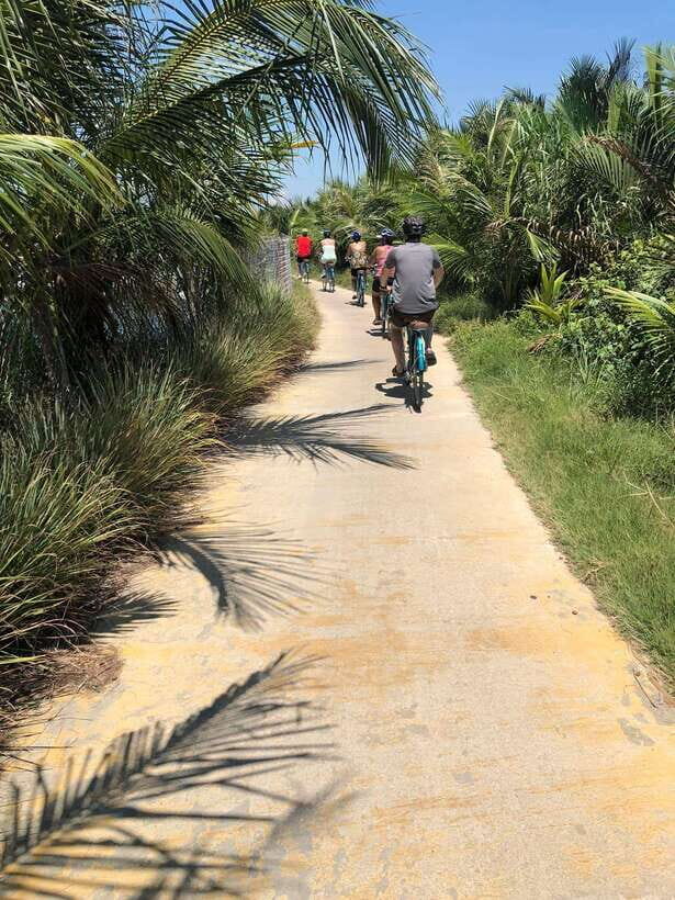 Hoi An: Half-Day My Son Sanctuary Bike Tour - A Detailed Look at the Tour