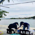 Hoi An: Half-day Painting Hoi An's Charm - The Experience Provider