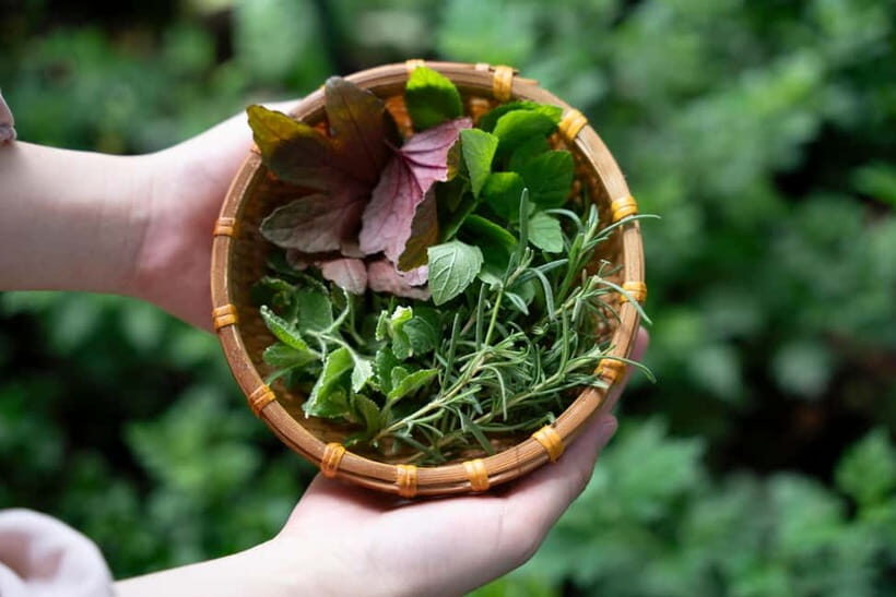 Hoi An Hidden Gem: Vietnamese Coffee Making x Local Herbal - Concluding Thoughts