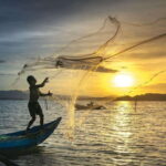 Hoi An: Kayaking Tour of the Waterways - Who Should Consider This Tour?