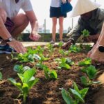 Hoi An Local Market and Vegetable Village Cooking Class - Why This Tour Works