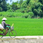 Hoi An: Private Cycling to My Son Sanctuary with Local Guide - What Makes This Tour Stand Out