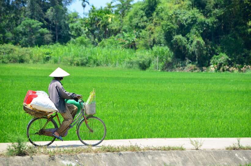 Hoi An: Private Cycling to My Son Sanctuary with Local Guide - What Makes This Tour Stand Out