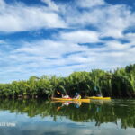 Hoi An River Kayak Tour - What to Expect: A Thorough Breakdown