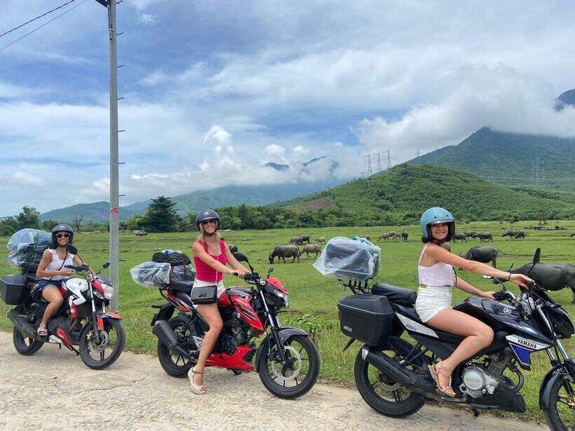 Hoi An to Hue Easy Rider Adventure: Scenic Hai Van Pass Tour - The Journey’s End: Reaching Hue