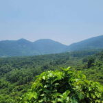 HOI AN TO HUE VIA HAI VAN PASS BY EASY RIDER - The Itinerary Breakdown