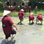Hoi An Wet Rice Farming Tour-Basket Boat Tour Fishing-Lunch - Transportation, Duration, and Group Size