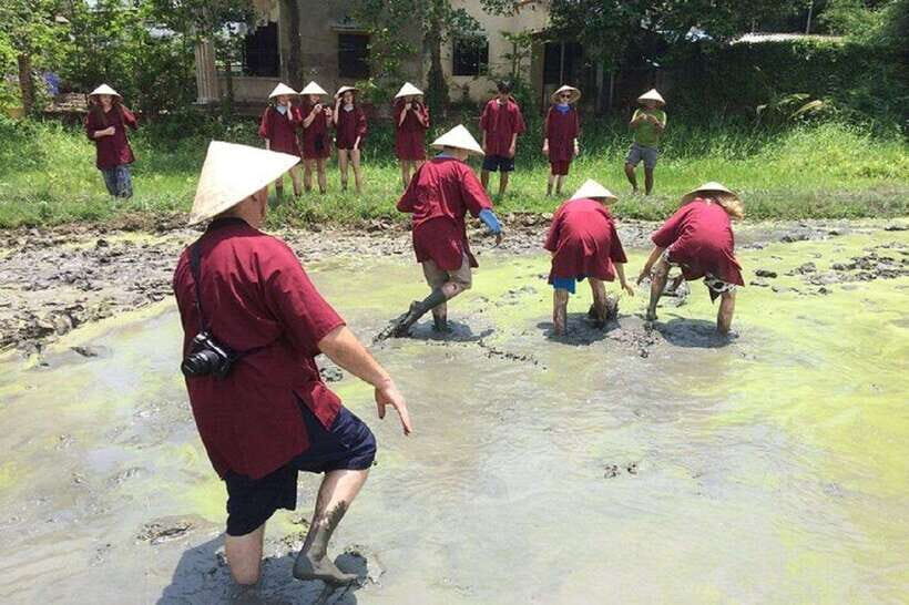 Hoi An Wet Rice Farming Tour-Basket Boat Tour Fishing-Lunch - Transportation, Duration, and Group Size