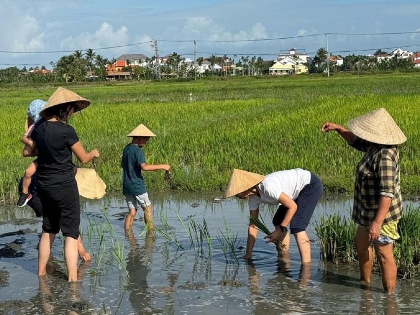 Hoi An:Cycling,Traditional Farming & Fishing Life Experience - An In-Depth Look at the Tour
