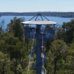 Hokitika: West Coast Tree Top Tower Zip Line and Walk - What Makes This Tour Stand Out