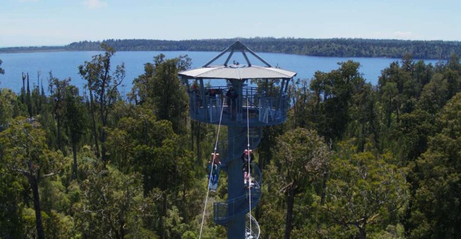Hokitika: West Coast Tree Top Tower Zip Line and Walk - What Makes This Tour Stand Out
