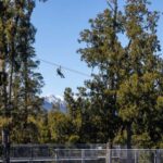 Hokitika: West Coast Treetop Walkway Entrance Ticket - The Experience’s Value in Context