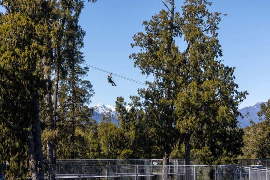 Hokitika: West Coast Treetop Walkway Entrance Ticket - The Experience’s Value in Context