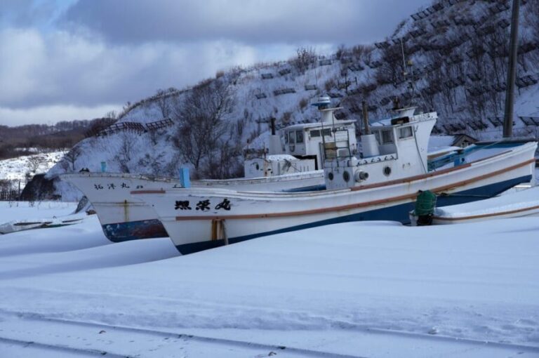 Hokkaido Niseko Ski Day Tour - The Itinerary: What Do You Really Get?