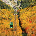 HokkaidoKurodake Ropeway, Asahiyama Zoo Autumn Leaves Tour - Exploring the Itinerary: From Sky-high Views to Animal Encounters