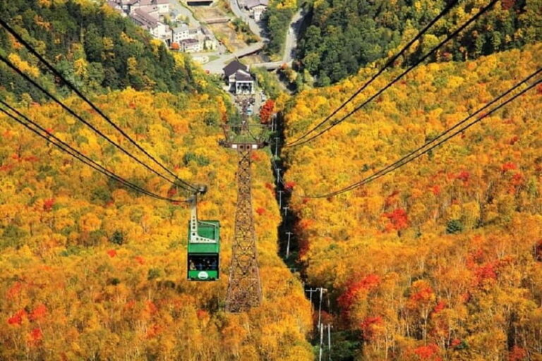 HokkaidoKurodake Ropeway, Asahiyama Zoo Autumn Leaves Tour - Exploring the Itinerary: From Sky-high Views to Animal Encounters