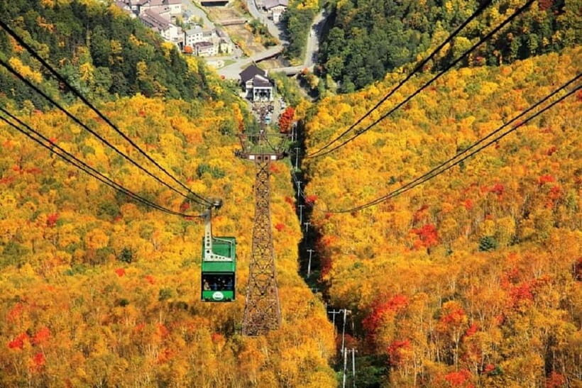 HokkaidoKurodake Ropeway, Asahiyama Zoo Autumn Leaves Tour - Exploring the Itinerary: From Sky-high Views to Animal Encounters