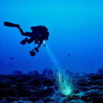 Hol Chan Marine Park night dive - The Logistics: How It All Comes Together