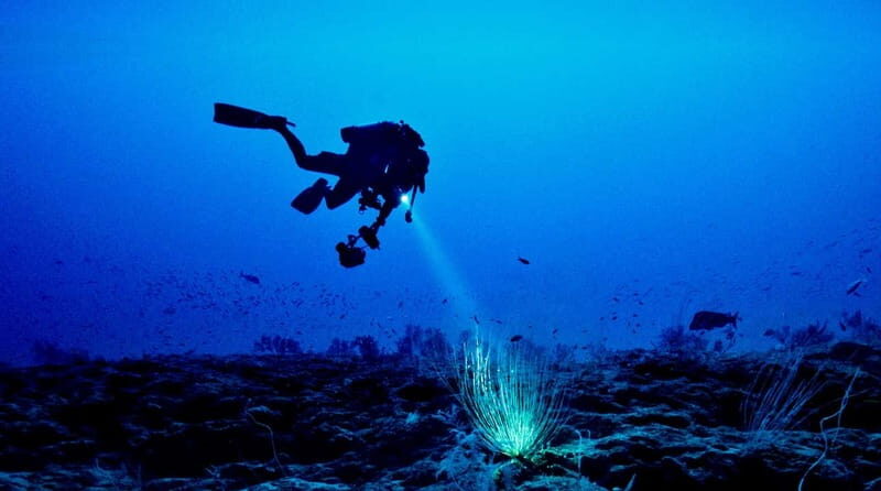 Hol Chan Marine Park night dive - The Logistics: How It All Comes Together