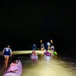 Holbox: Bioluminescence by Kayak and Stargazing. - Kayaking to Punta Mosquito: The Calm Before the Glow