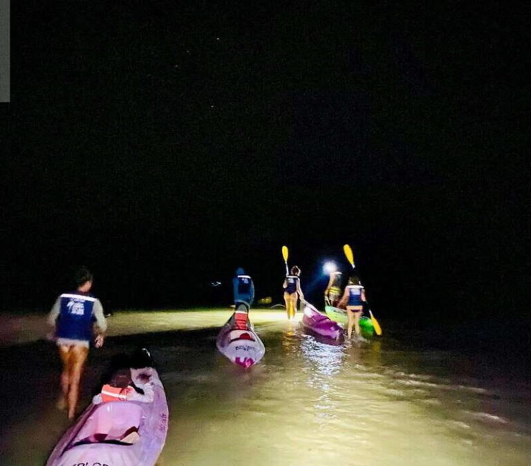 Holbox: Bioluminescence by Kayak and Stargazing. - Kayaking to Punta Mosquito: The Calm Before the Glow