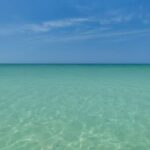 Holbox Exclusive Full Day Tour - Holbox Island: The Main Event
