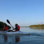 Holbox: Guided Sunrise/Sunset Kayak Tour by Mangrove Reserve - Itinerary Breakdown & Practical Details