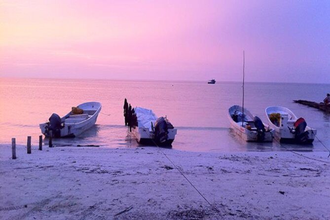 HOLBOX ISLAND TOUR - from Holbox (Private) - Who Will Love This Tour?