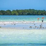 Holbox Island Tour in Mexico with Lunch - The Itinerary in Detail