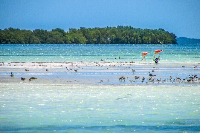 Holbox Island Tour in Mexico with Lunch - The Itinerary in Detail