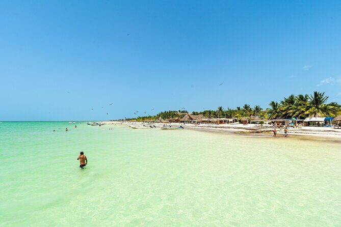 Holbox Island Tour with Pasion Island and Punta Mosquito - Authenticity and Traveler Feedback