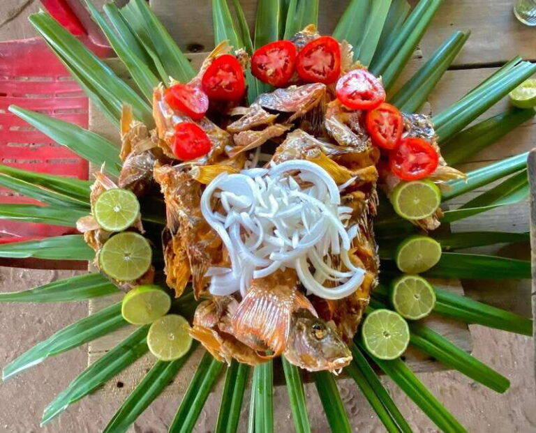 Holbox: Snorkeling, Fishing, and Ceviche Tour - A Closer Look at the Itinerary