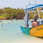 Holbox: Traditional Fishing Tour with Ceviche Tasting - An In-Depth Look at the Itinerary