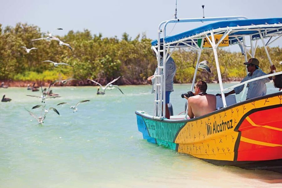 Holbox: Traditional Fishing Tour with Ceviche Tasting - An In-Depth Look at the Itinerary