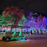 Holiday Lights Tour with Trolley Pub Columbus - The Experience: What It’s Like