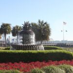 Hollywood Comes to Charleston Tour - Who Will Enjoy This Tour?