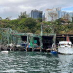 Hong Kong: Aberdeen Boat Tour and Visit Floating Museum - The Value Proposition