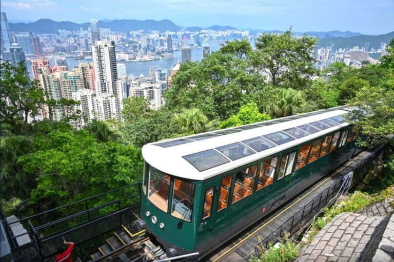 Hong Kong Day Tour: Priority Peak Tram, City Walk & Dim Sum - The Essentials at a Glance
