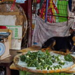 Hong Kong: photographic tour of Kowloon's Yau Tsim Mong district. - Price and Value
