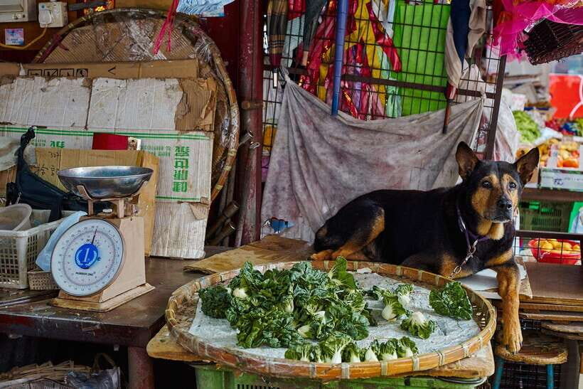 Hong Kong: photographic tour of Kowloon's Yau Tsim Mong district. - Price and Value