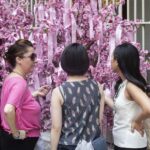 Hong Kong: Private Walking City Tour with a Local Guide - A Thorough Breakdown of the Experience
