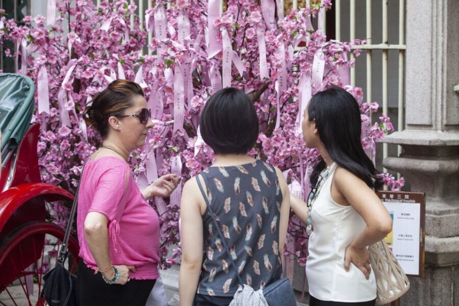 Hong Kong: Private Walking City Tour with a Local Guide - A Thorough Breakdown of the Experience
